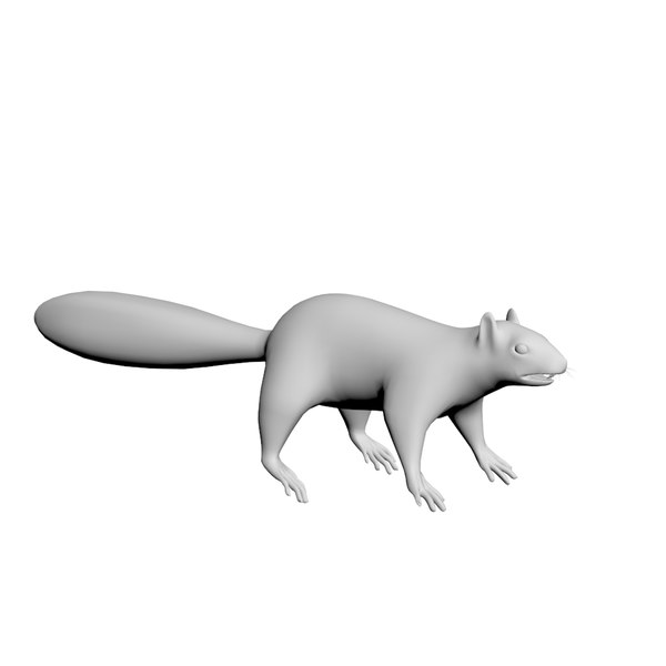 Squirrel 3D Models for Download | TurboSquid