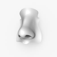 nose human 3d model