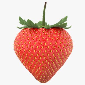 Strawberry 3D Models for Download | TurboSquid