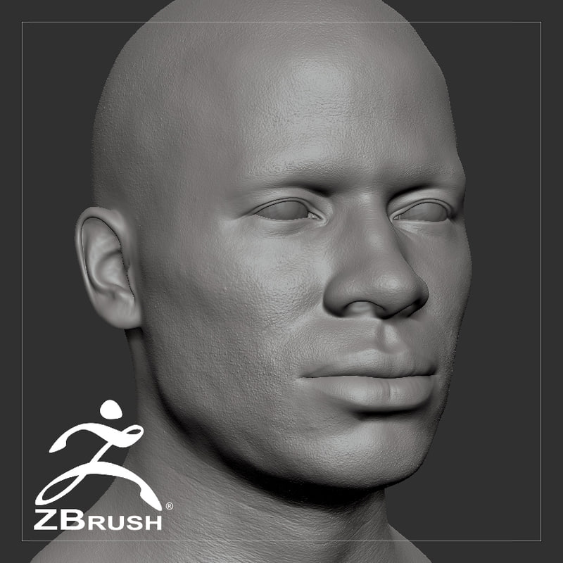 平均黑色男性头Basemesh3D模型 - TurboSquid 1168211