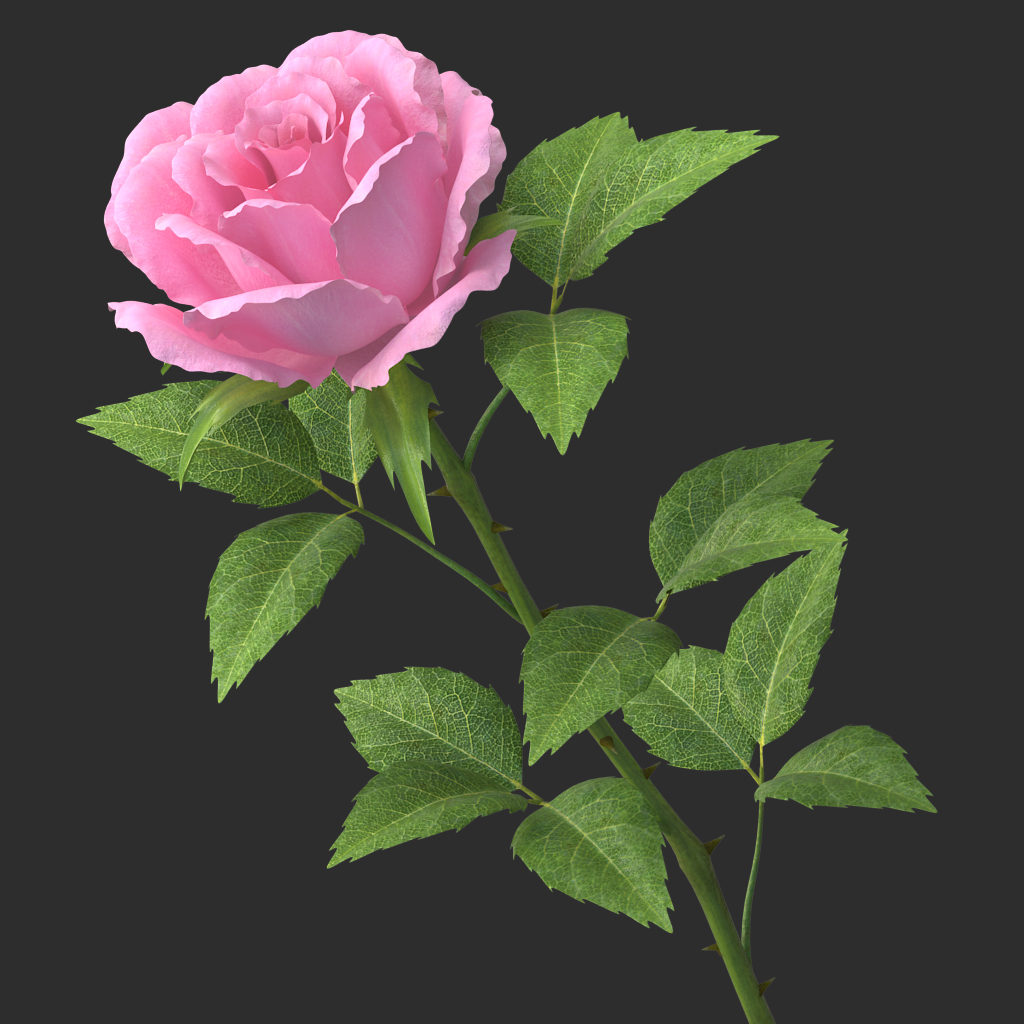 3D rose v8 model - TurboSquid 1168292