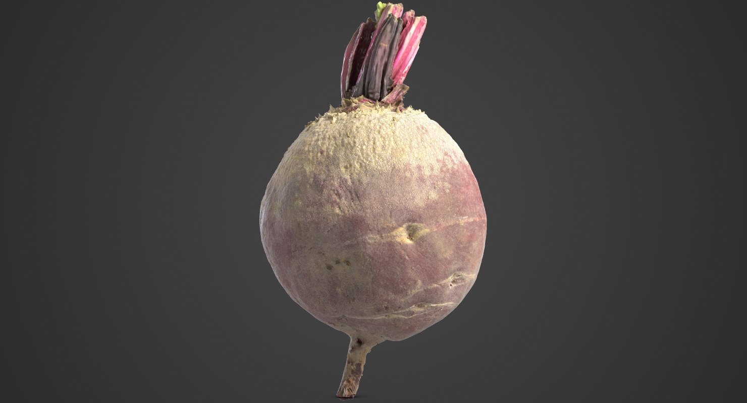 3D model beetroot beet root - TurboSquid 1169166