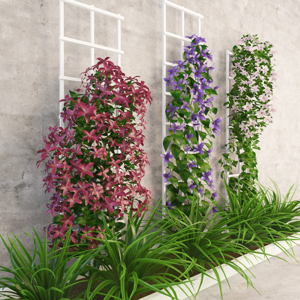 Flower wall 3D model - TurboSquid 1169255