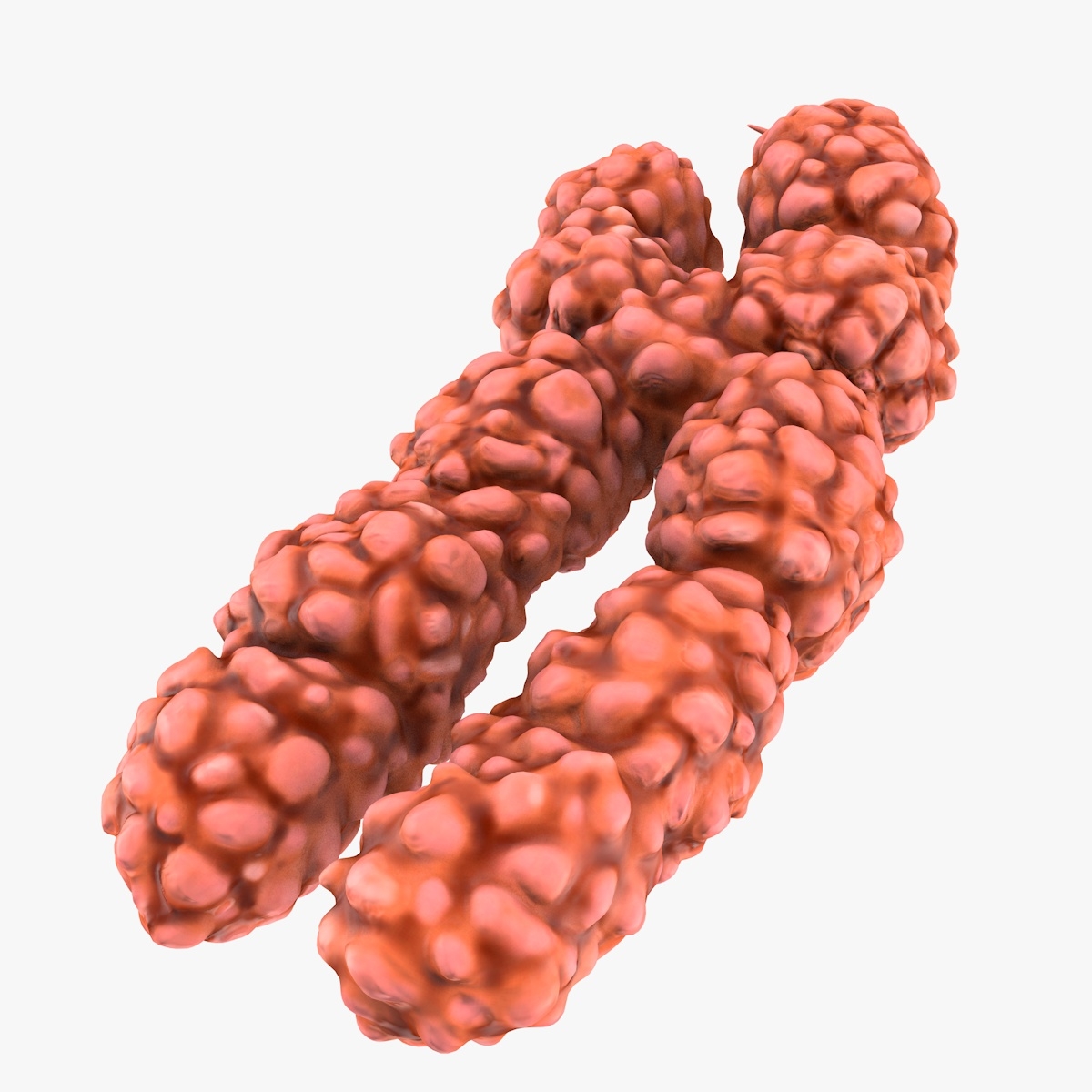 X chromosome 3D - TurboSquid 1170279