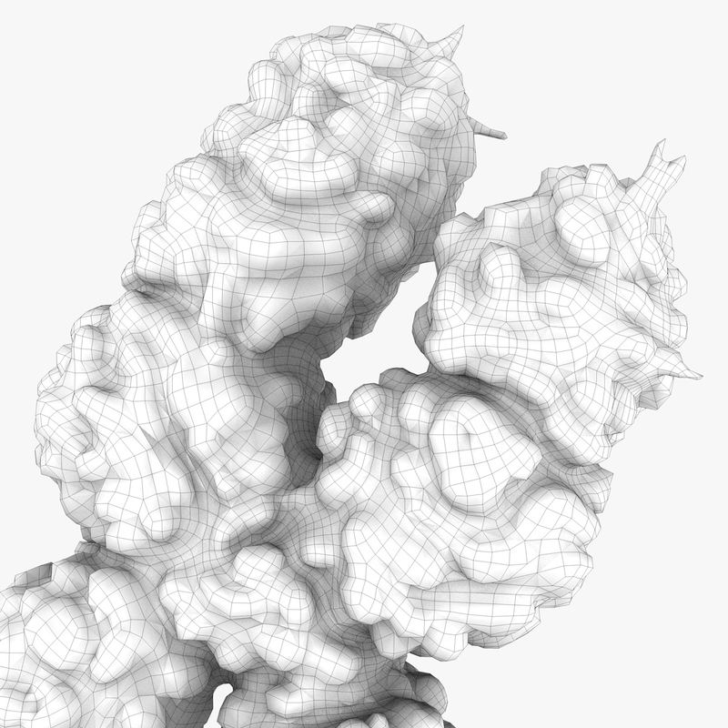 X chromosome 3D - TurboSquid 1170279