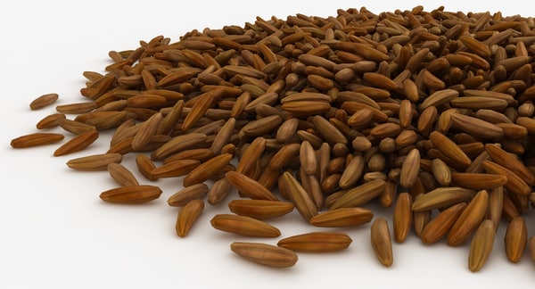 Realistic brown rice 3D model - TurboSquid 1170530