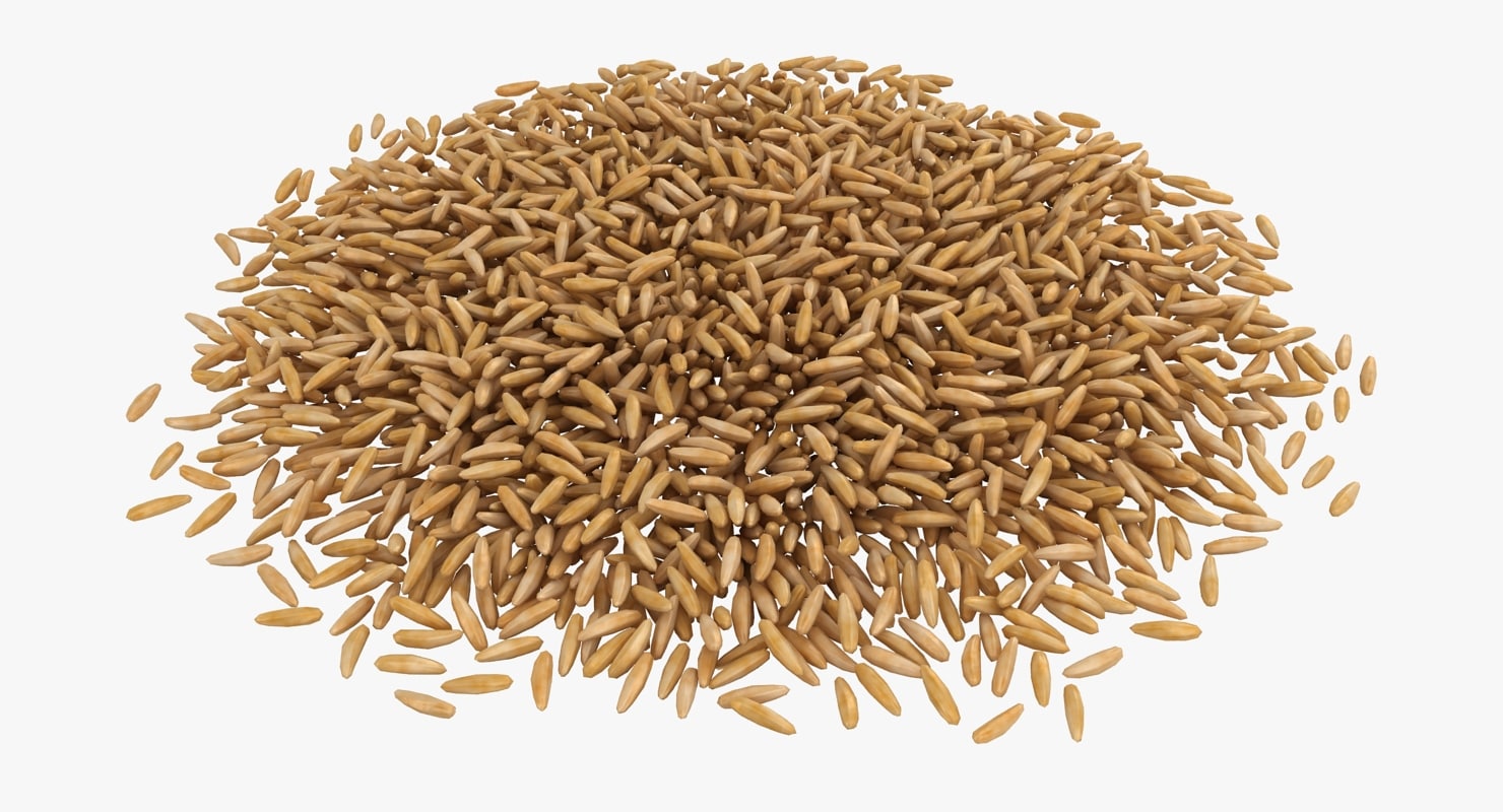 3D model realistic brown rice 2 - TurboSquid 1170695