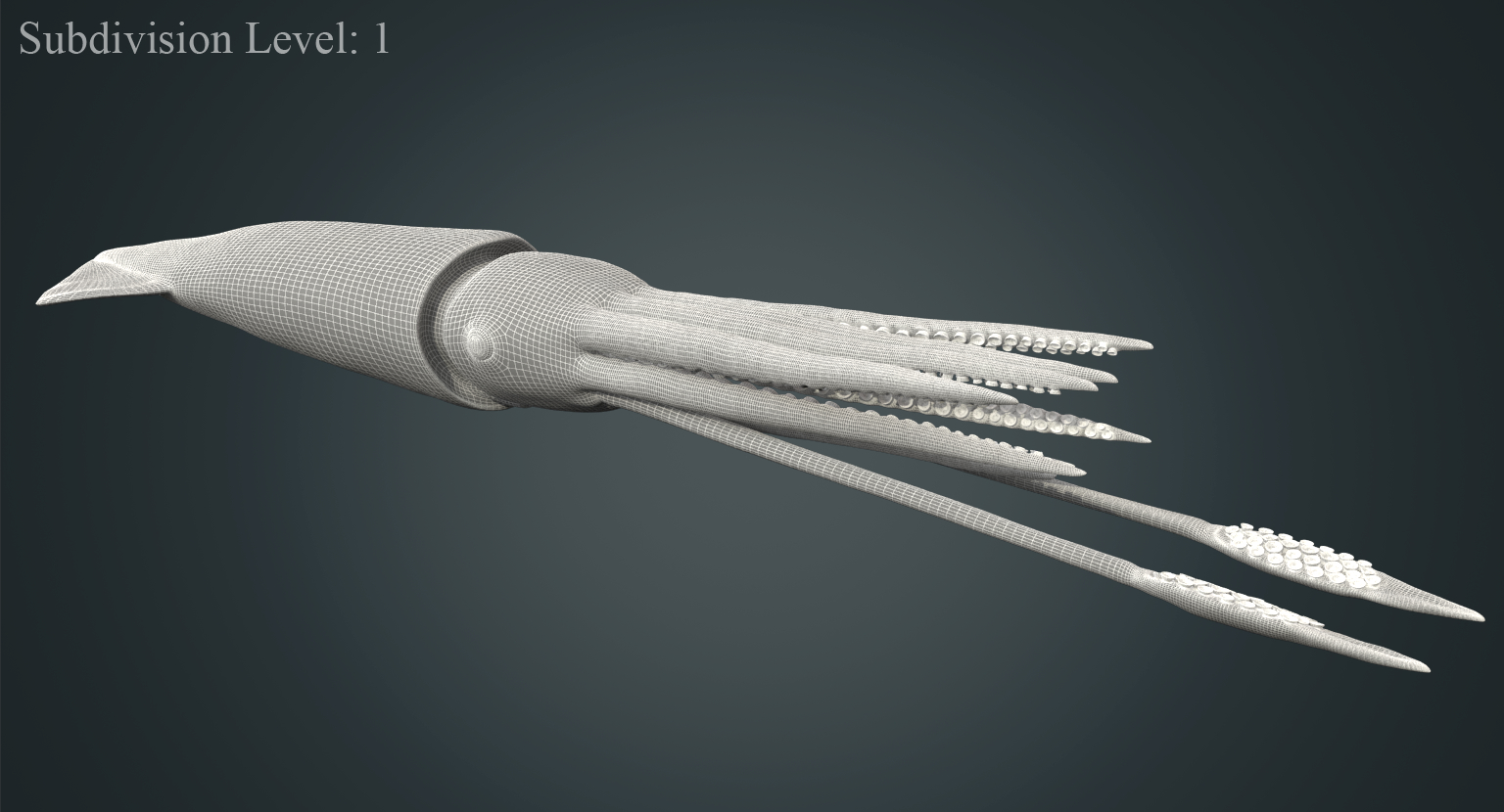 3D model giant squid - TurboSquid 1170832