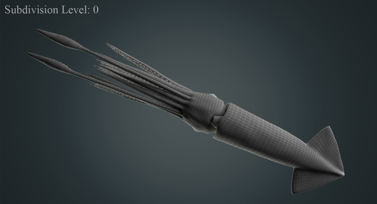 3D model giant squid - TurboSquid 1170832