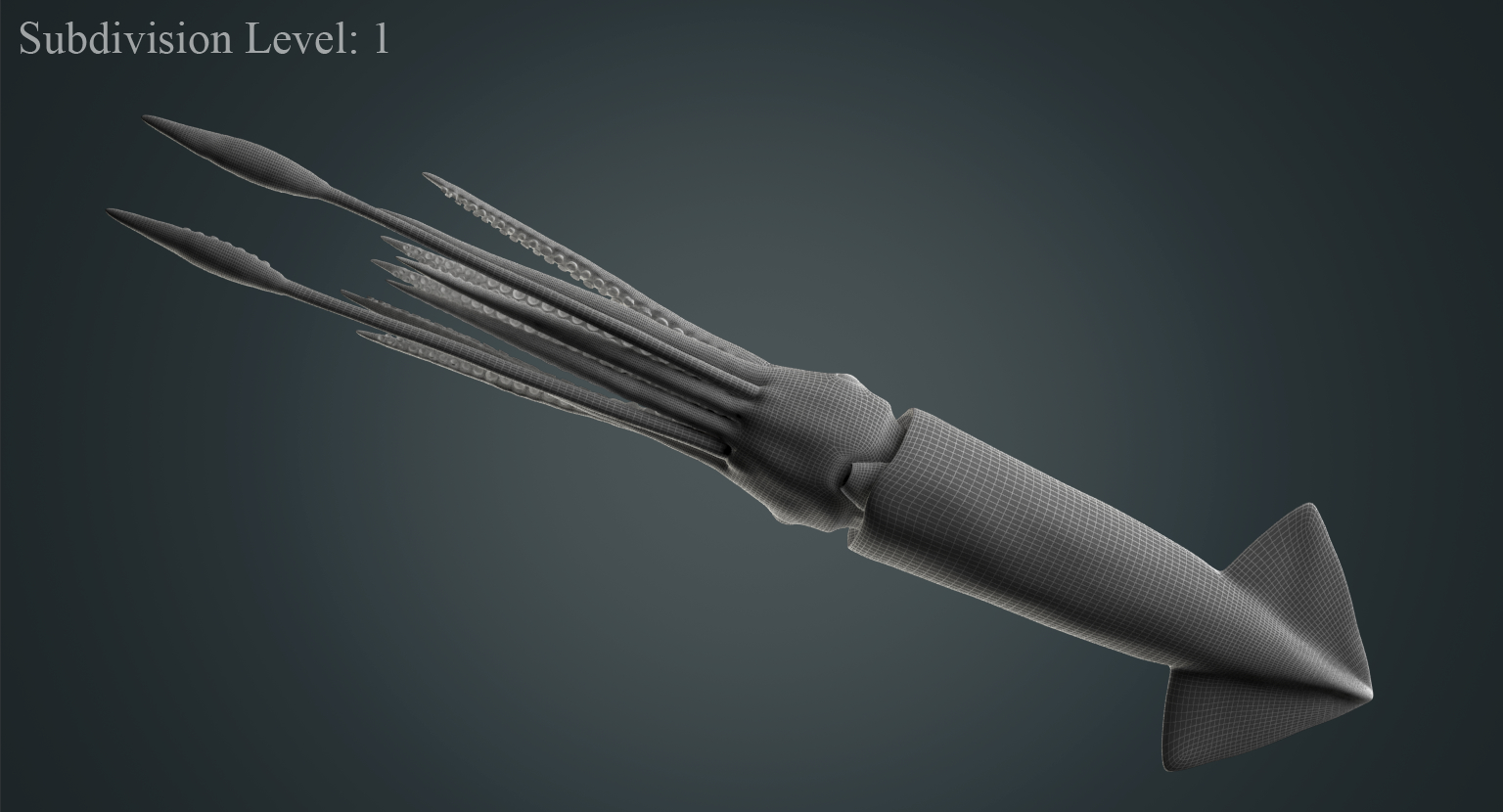 3D model giant squid - TurboSquid 1170832