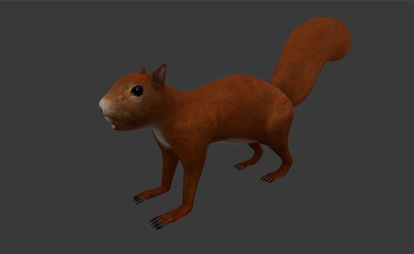 Squirrel 3D Models for Download | TurboSquid