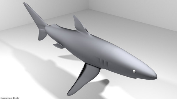Shark Blender Models for Download | TurboSquid