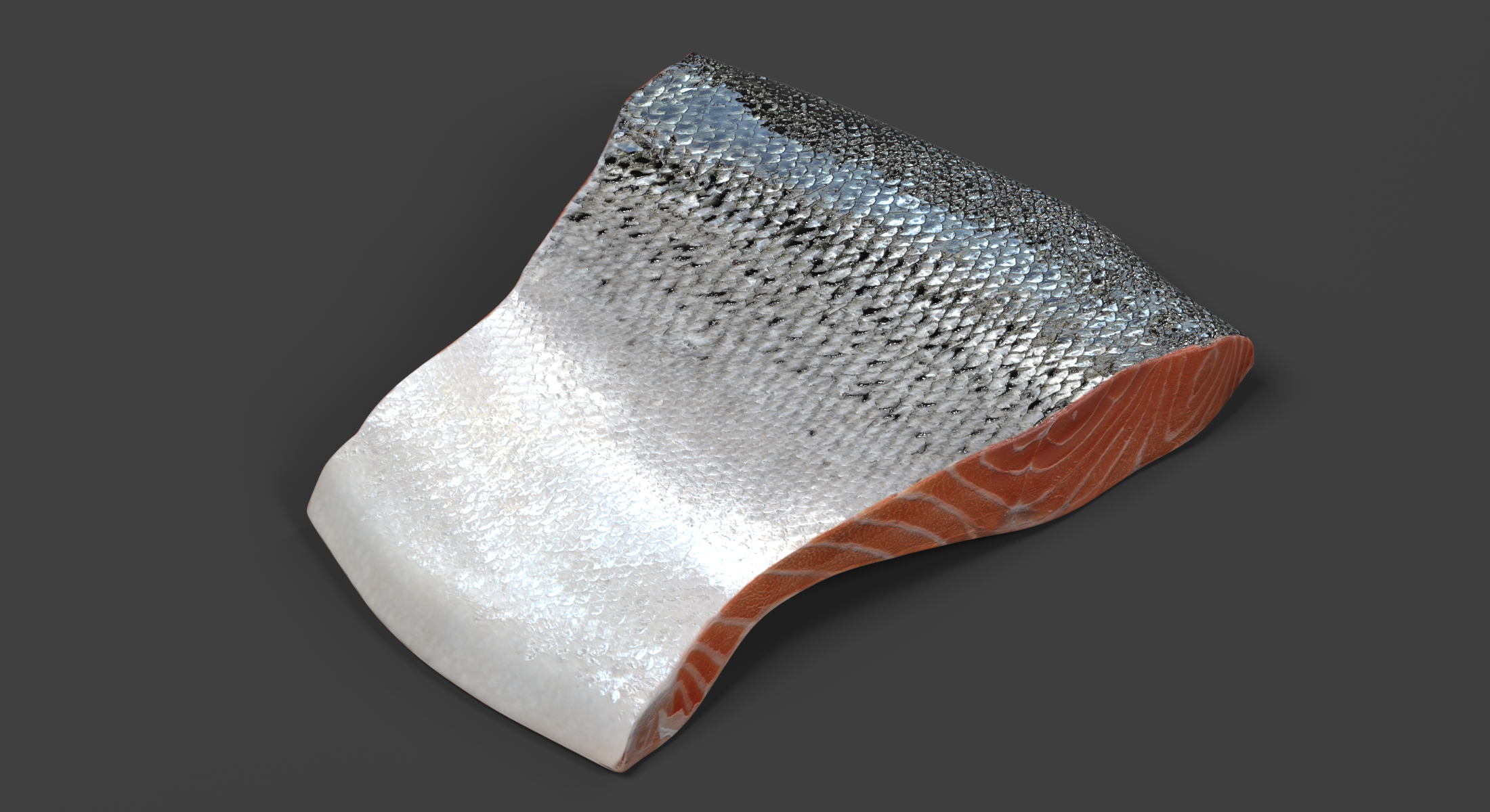 3D model salmon fillet - TurboSquid 1171603