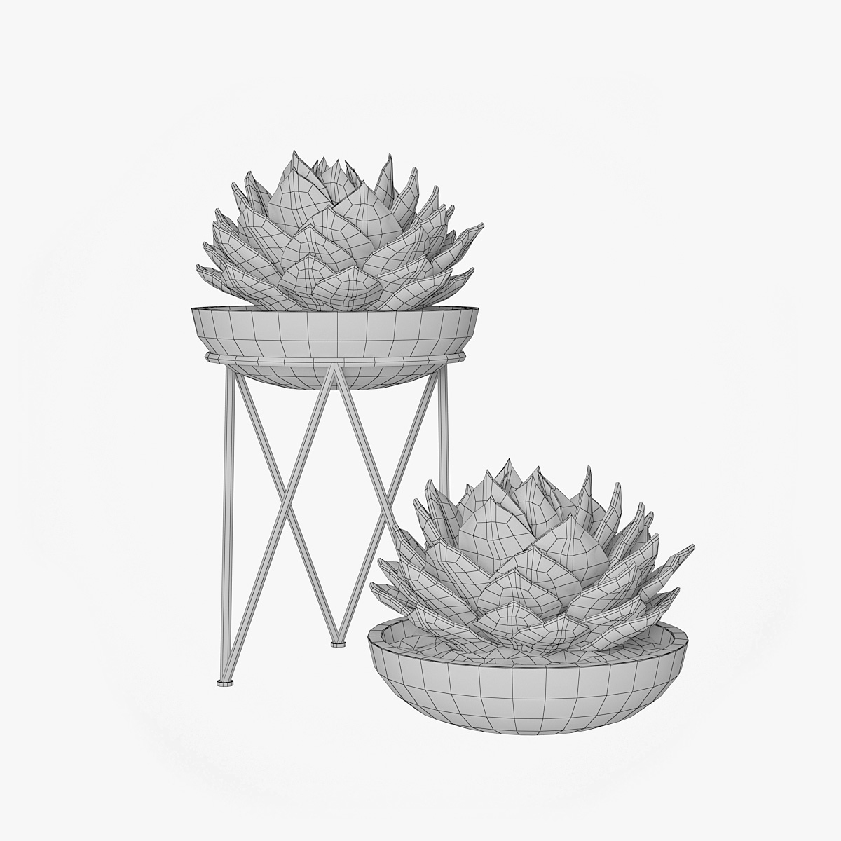 Succulent pot plant 3D model - TurboSquid 1172678