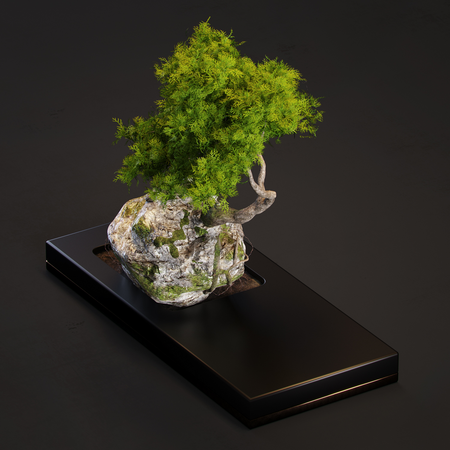 3D model bonsai - TurboSquid 1173460
