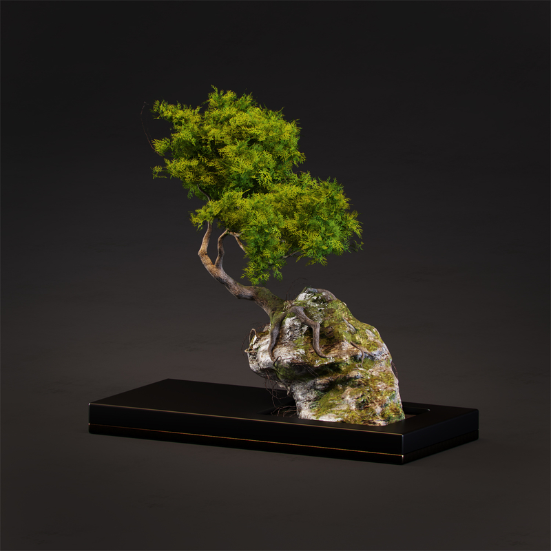 3D model bonsai - TurboSquid 1173460