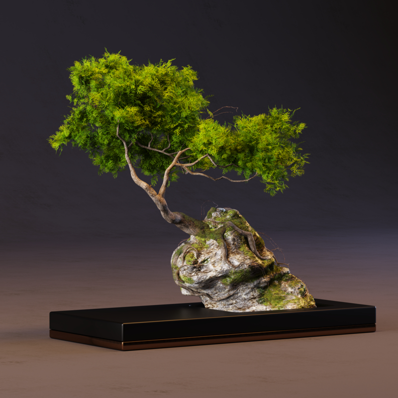 3D model bonsai - TurboSquid 1173460