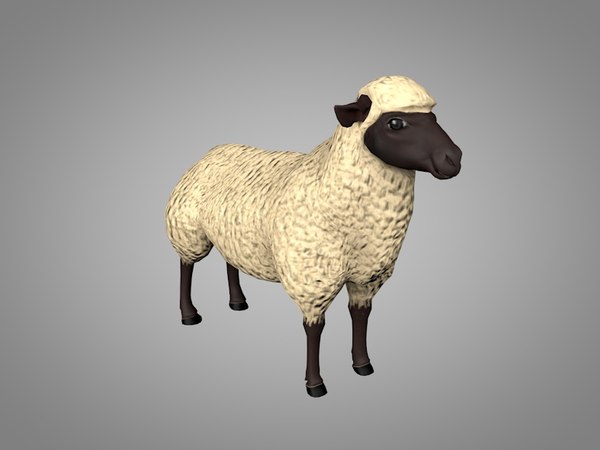 3D Sheep Models | TurboSquid