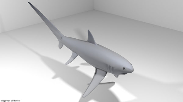 Shark Blender Models for Download | TurboSquid