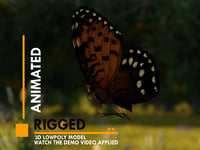 Butterfly 3D Models for Download | TurboSquid