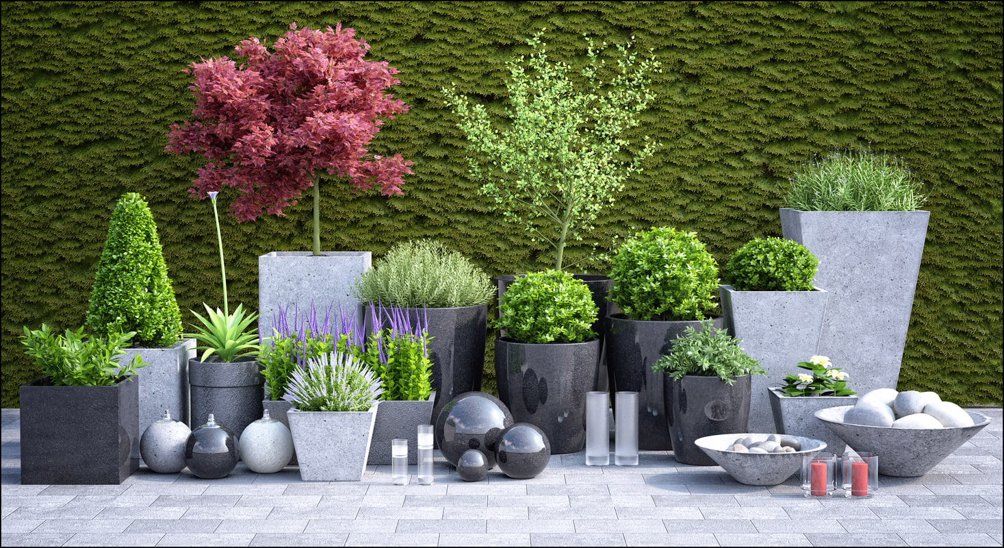 Planter group model - TurboSquid 1174729