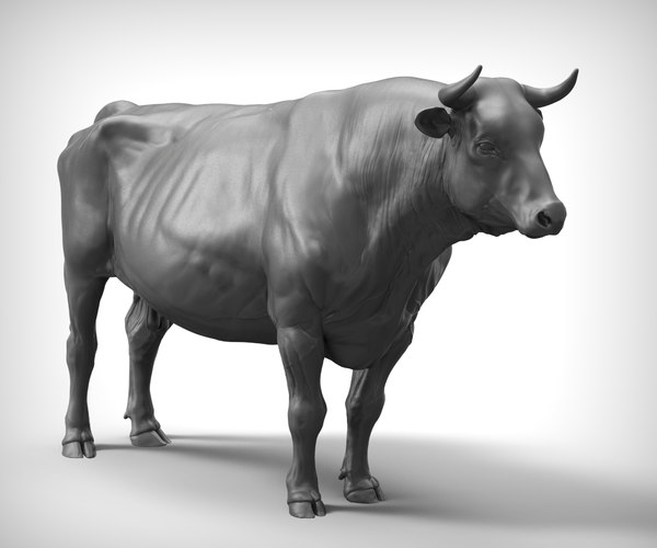 3D bull head model - TurboSquid 1424145