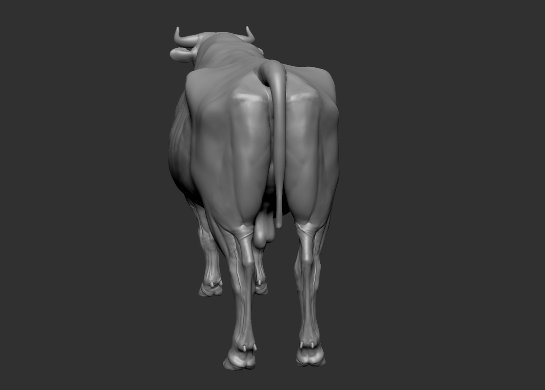 3D bull - TurboSquid 1174880