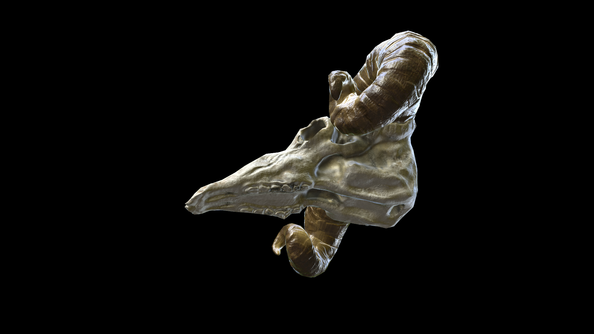 Ram Skull 3d Model Turbosquid 1175108