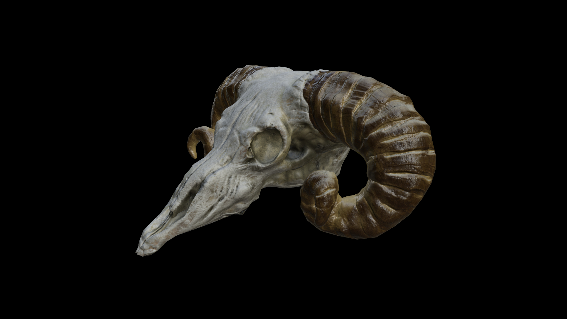 Ram skull 3D model - TurboSquid 1175108