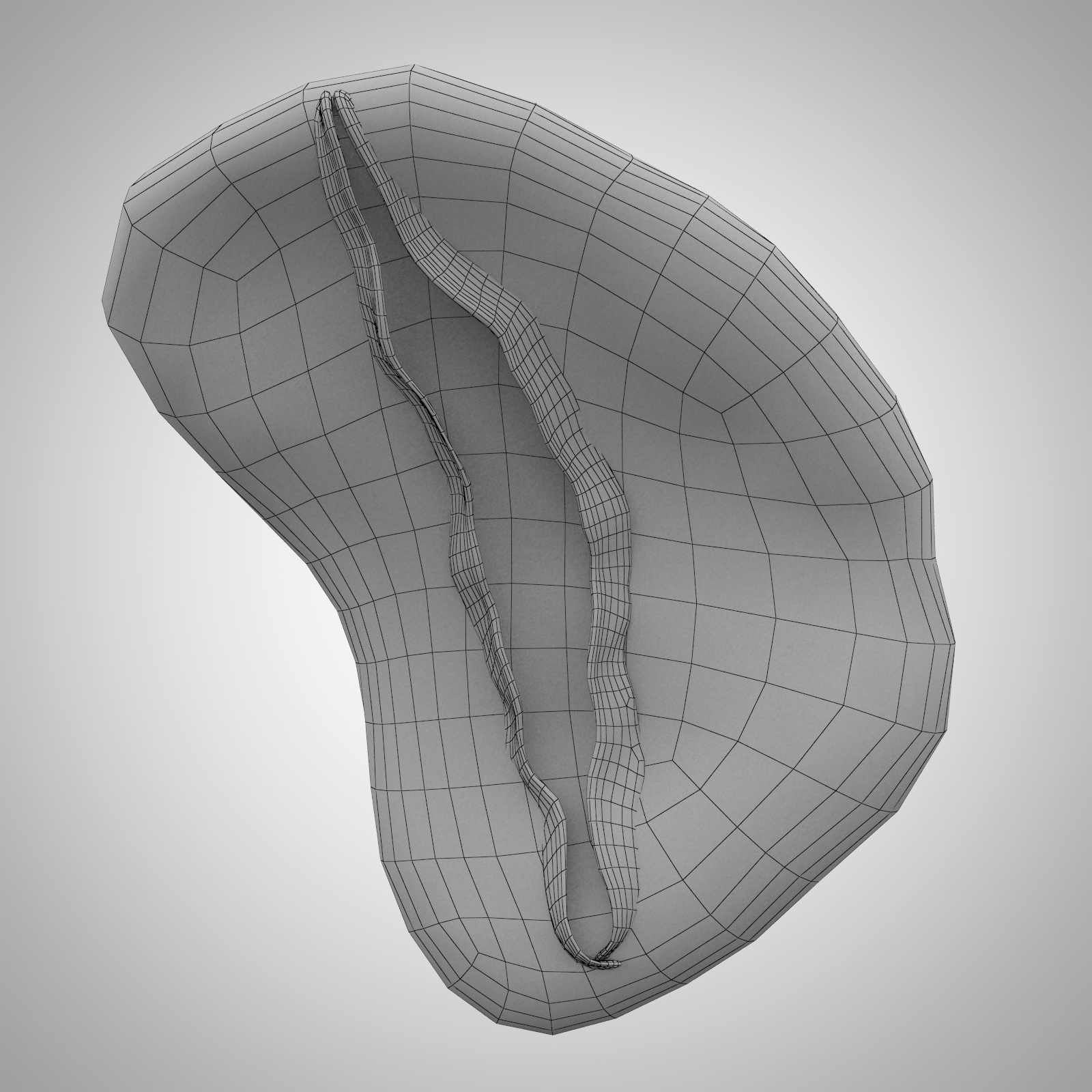 3D human spleen model - TurboSquid 1175184