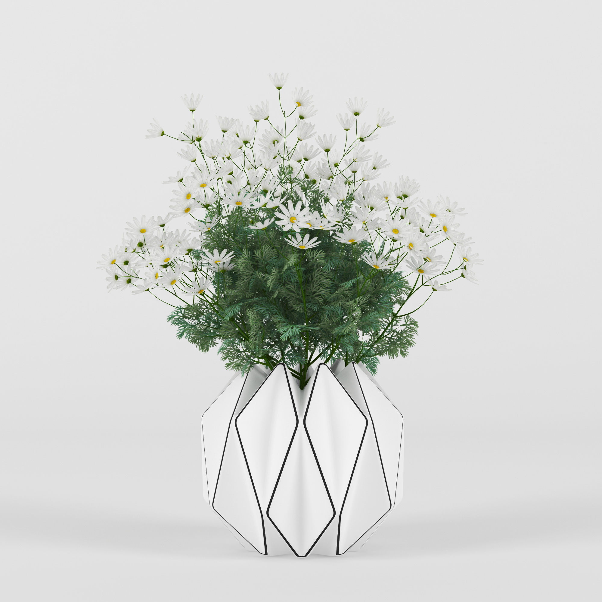 Daisy 3D model - TurboSquid 1176015