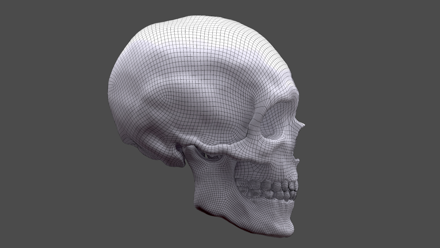 Human skull head 3D model - TurboSquid 1176363