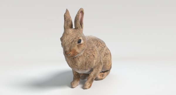 Realistic animals 3D model - TurboSquid 1176755