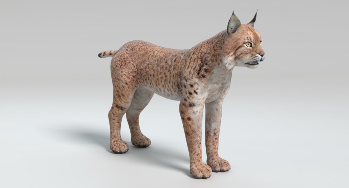 Realistic animals 3D model - TurboSquid 1176755