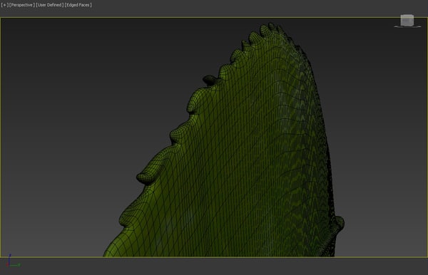 Tea Tree Leaf 3d Turbosquid 1177230