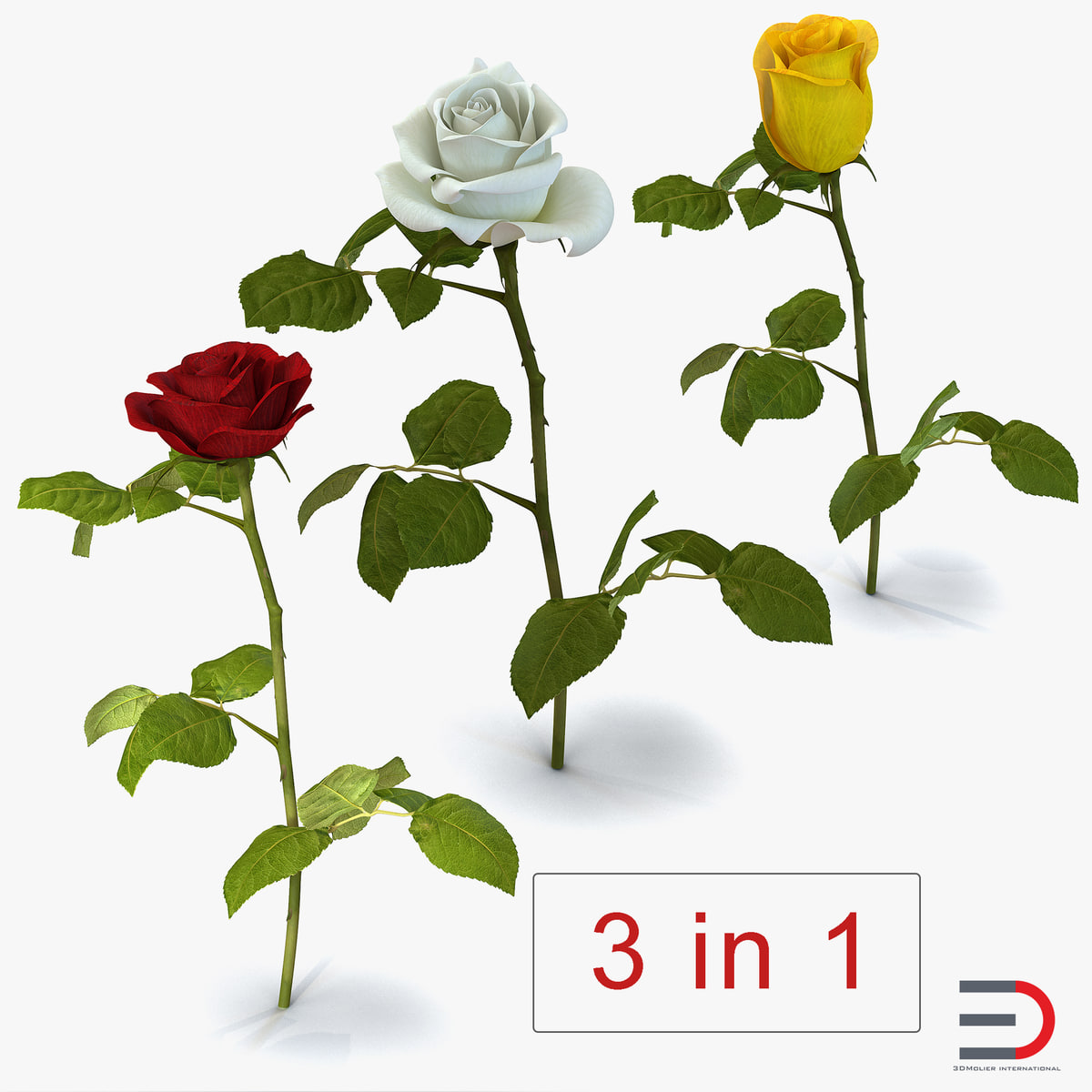 3D roses 2 - TurboSquid 1177357