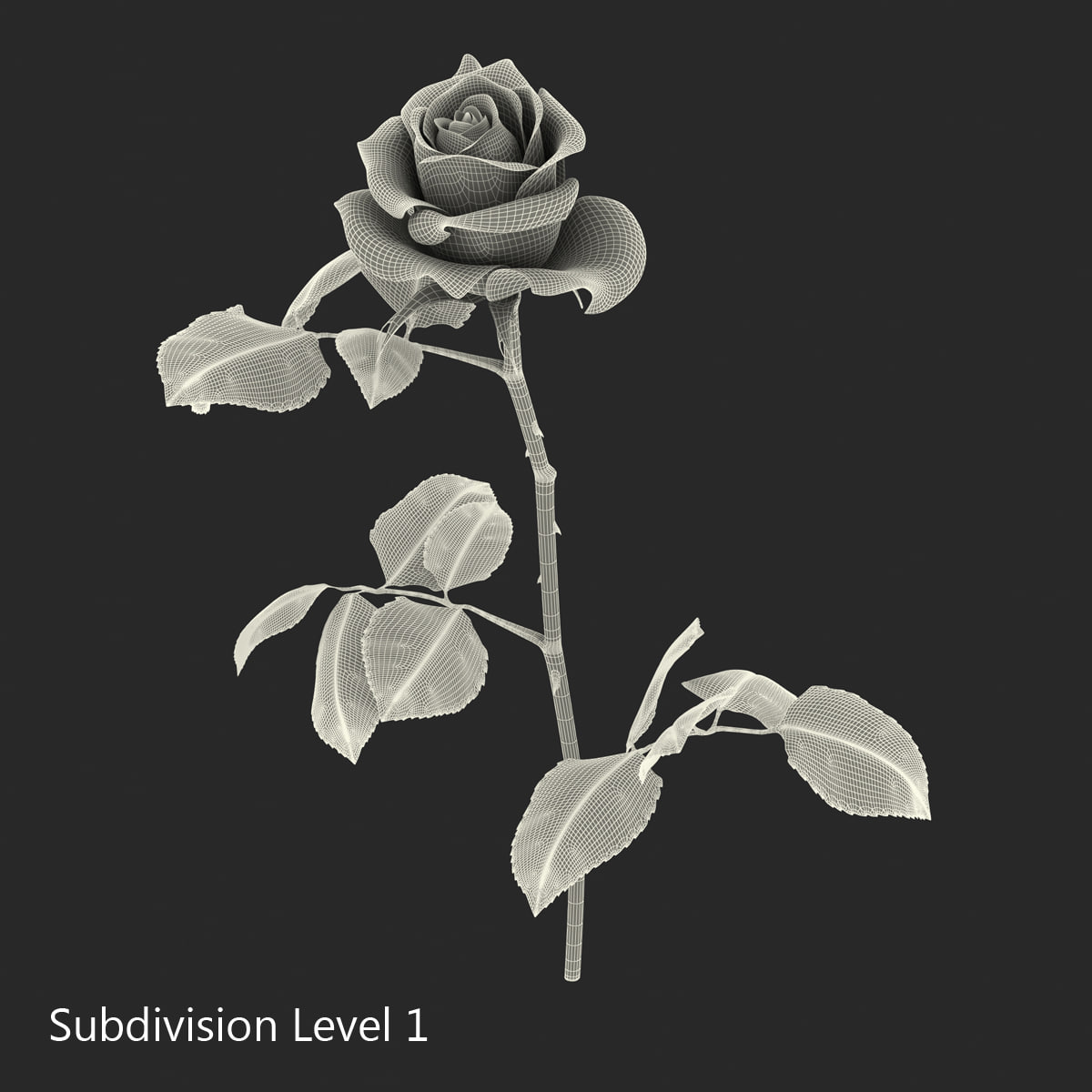 3D roses 2 - TurboSquid 1177357