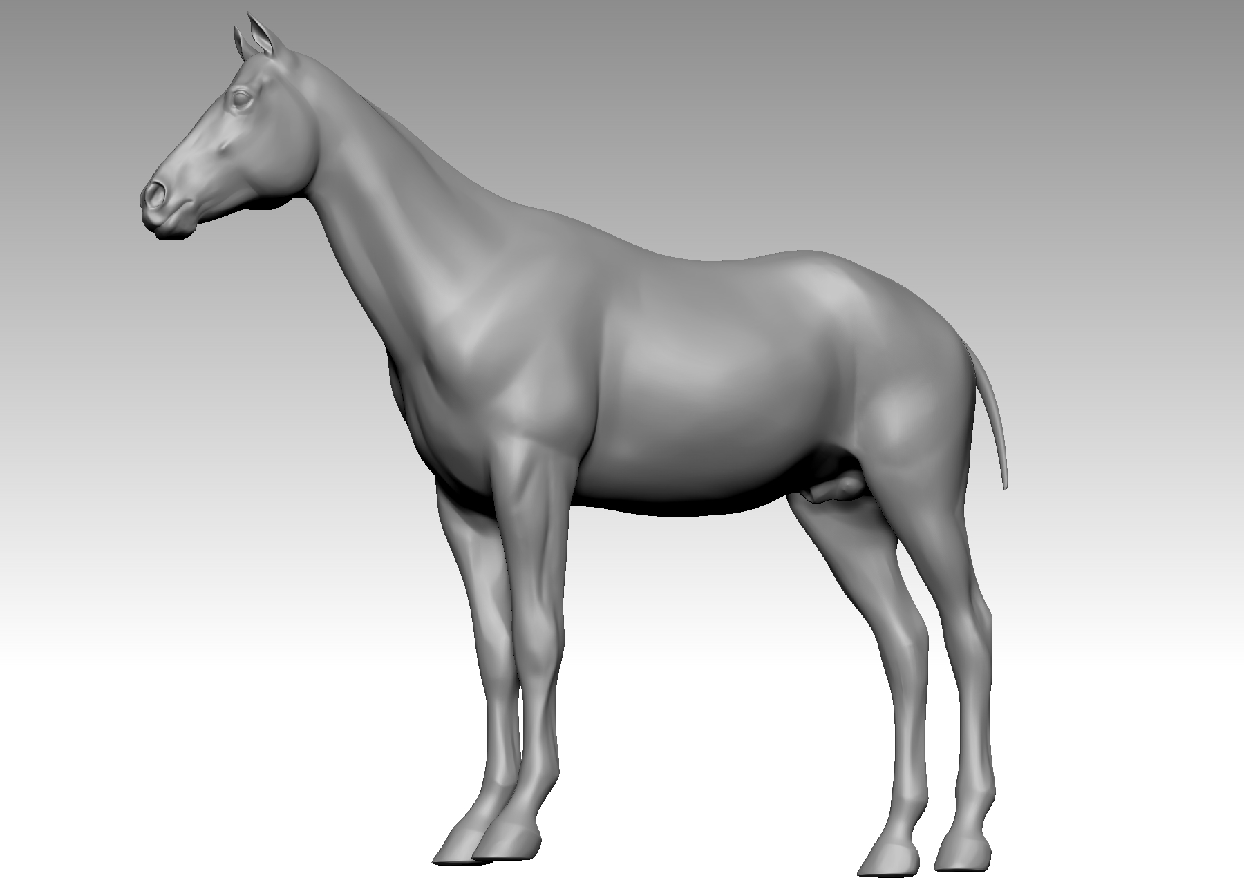 Horse base 3D model - TurboSquid 1177578