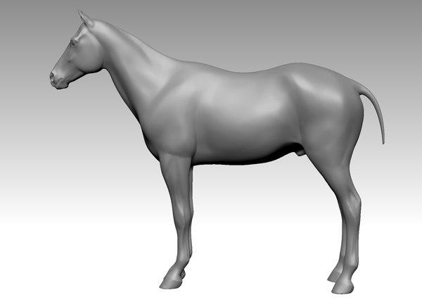 Horse base 3D model - TurboSquid 1177578
