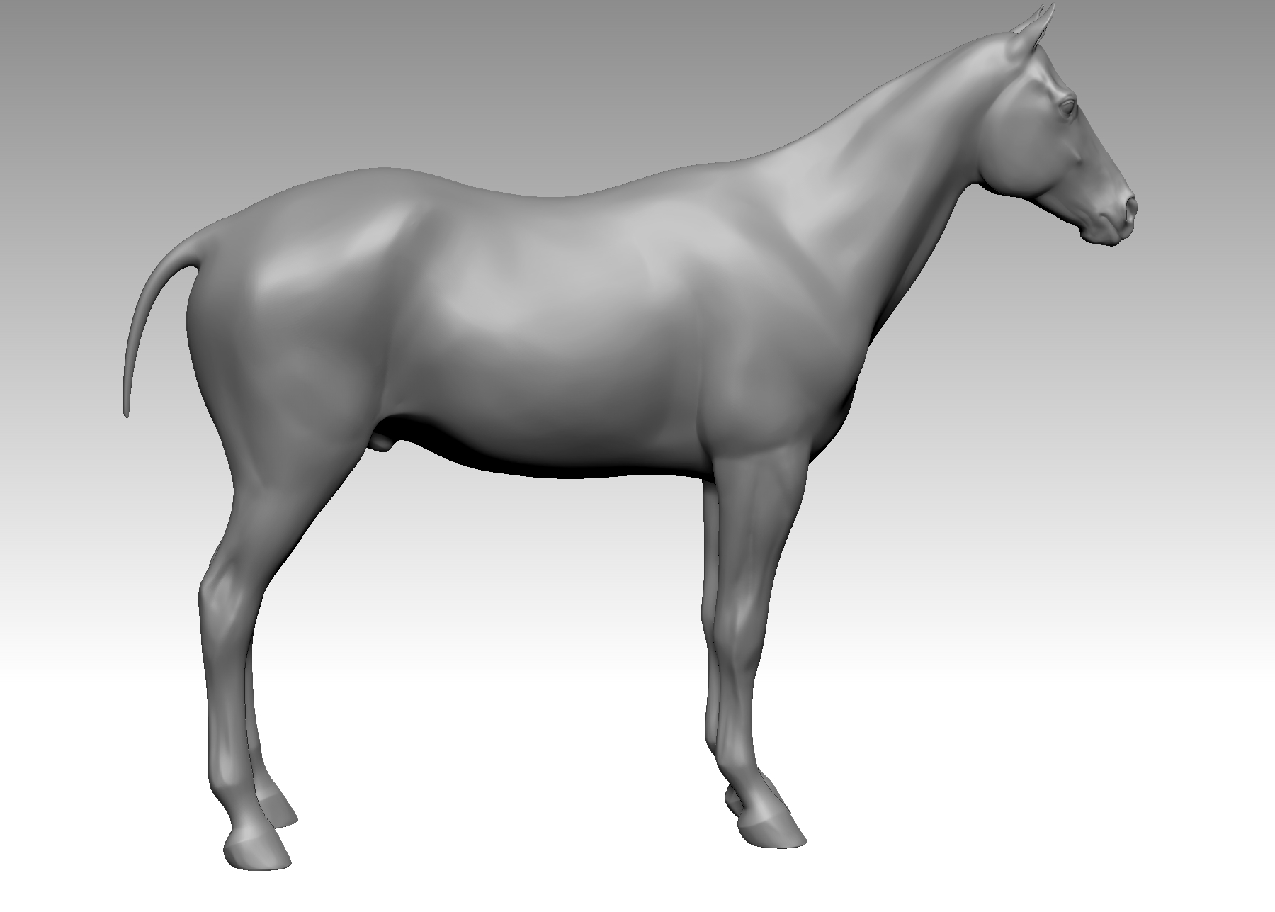 Horse base 3D model - TurboSquid 1177578