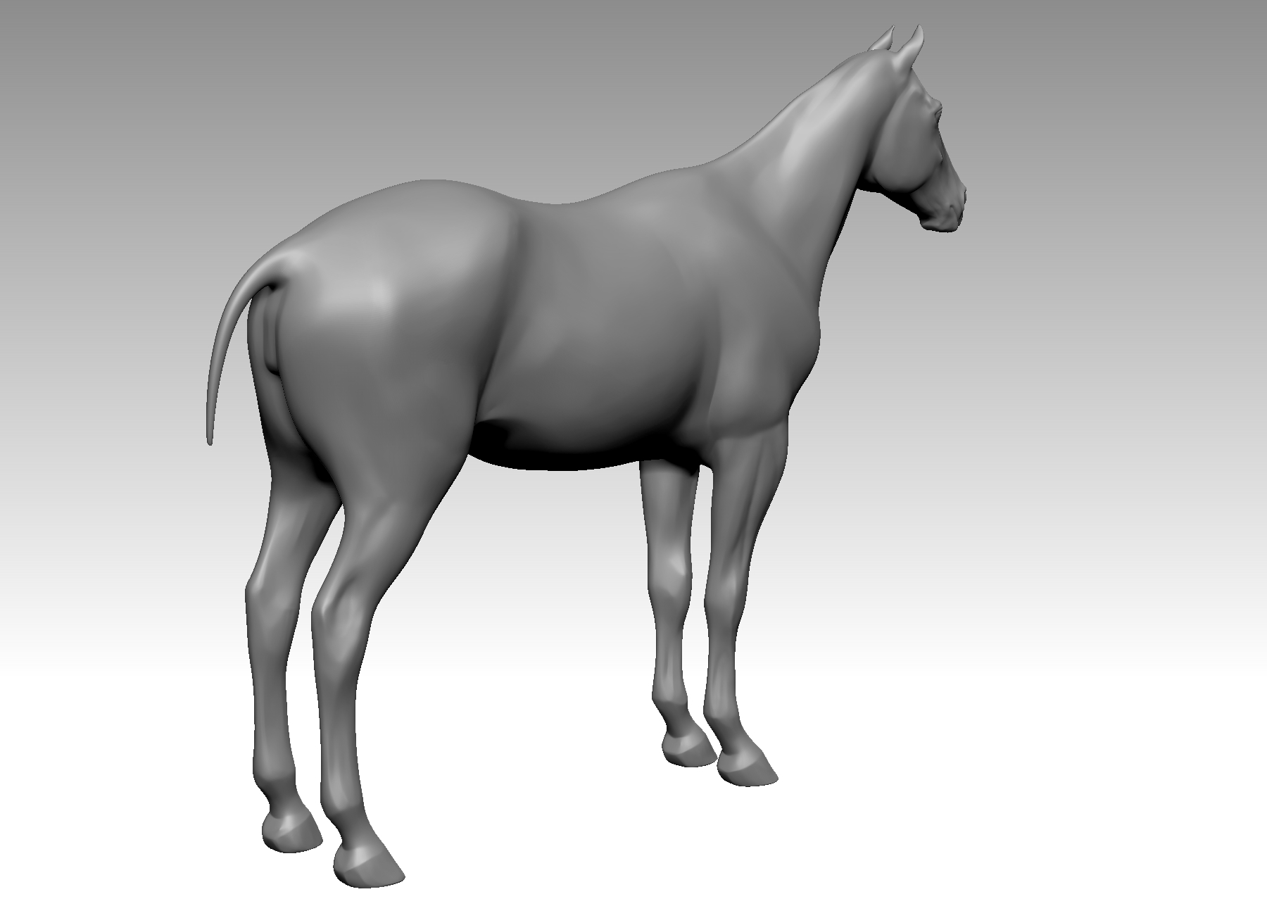 Horse base 3D model - TurboSquid 1177578
