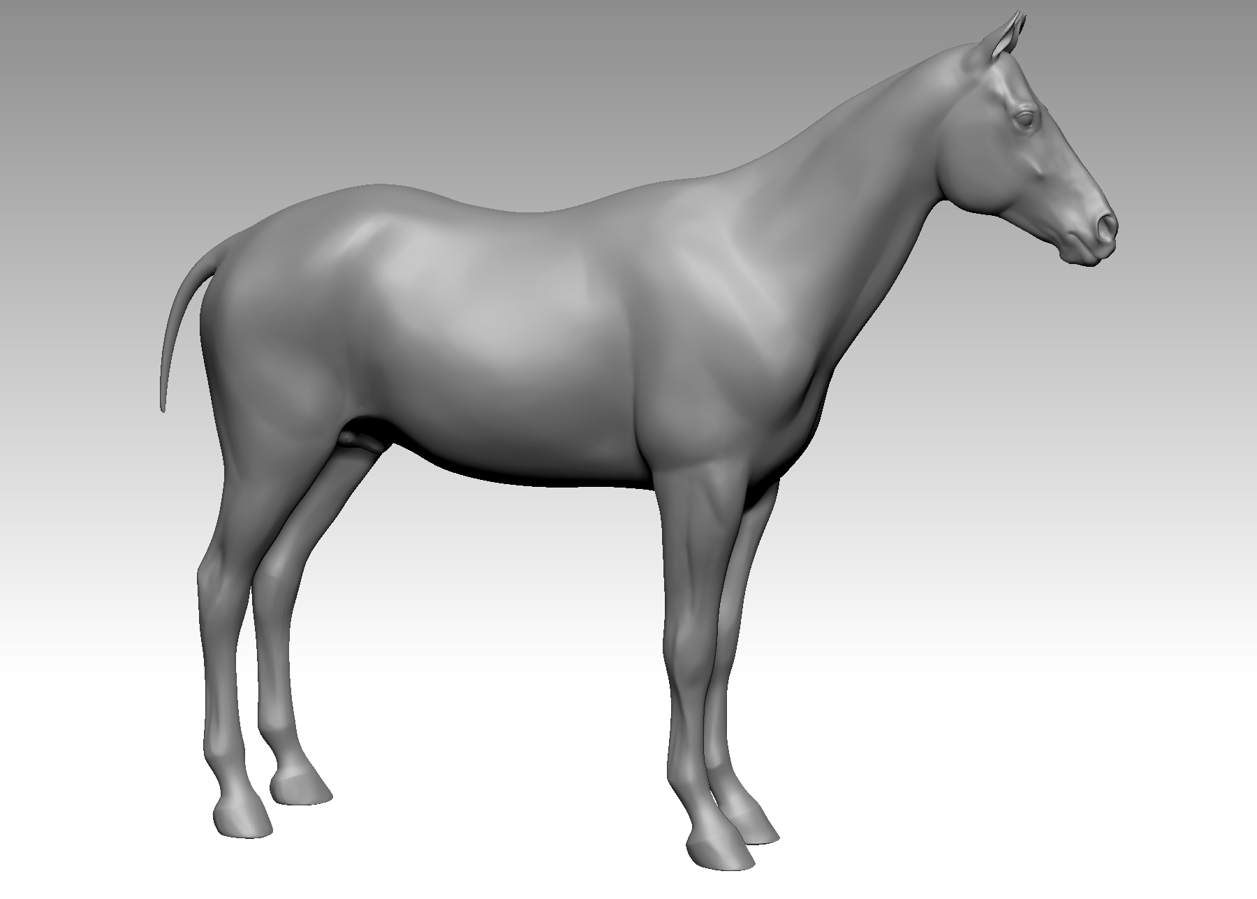 Horse base 3D model - TurboSquid 1177578