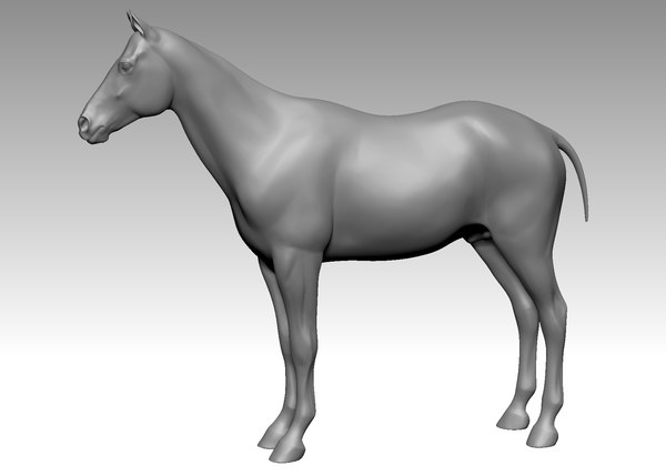 Horse base 3D model - TurboSquid 1177578