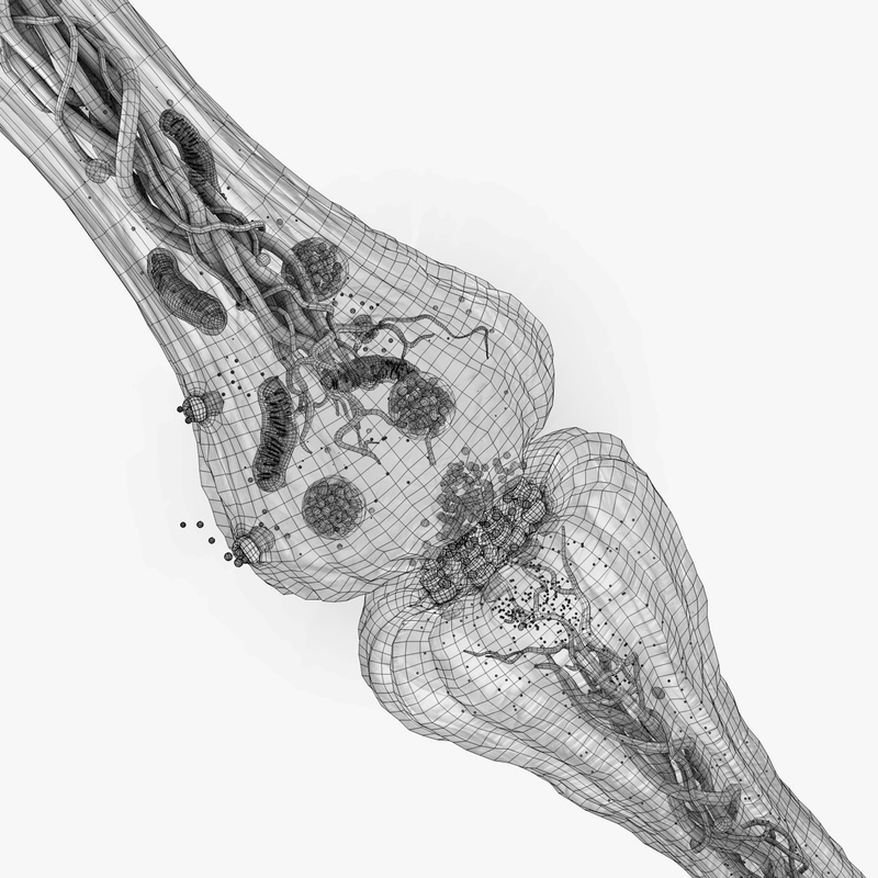 3D model synapse axon synaptic - TurboSquid 1177608