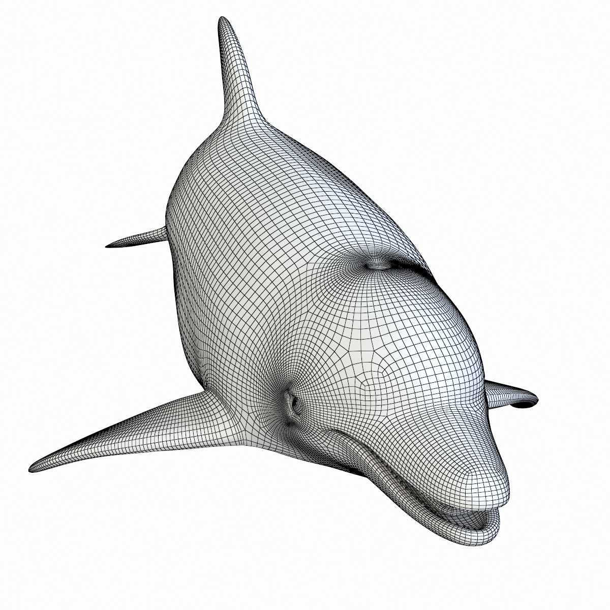 Dolphin realistic 3D model - TurboSquid 1177624