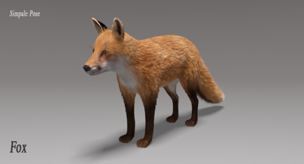 Fox fur rigged 3D model - TurboSquid 1177648