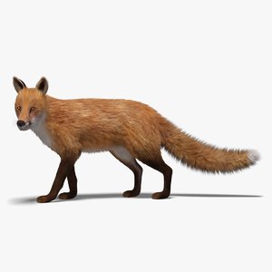 Fox Blender Models for Download | TurboSquid