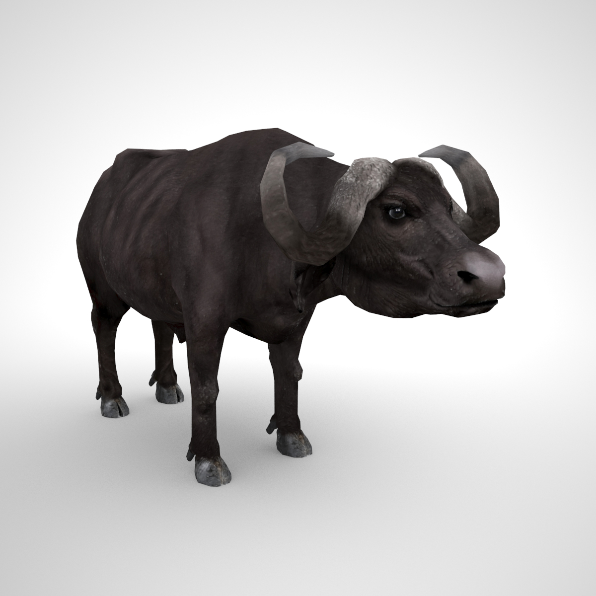 3D buffalo bull model - TurboSquid 1177823