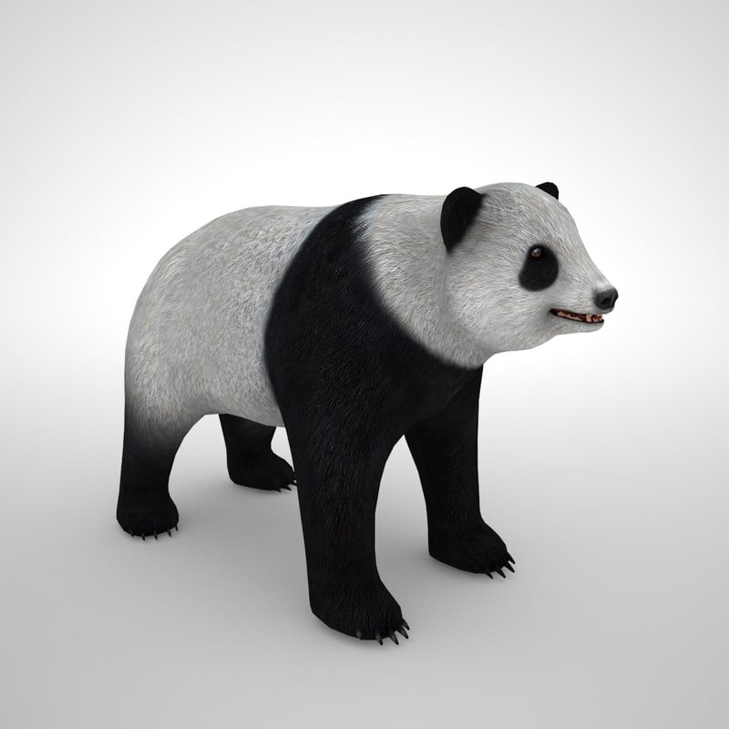 3D model panda bear - TurboSquid 1177944