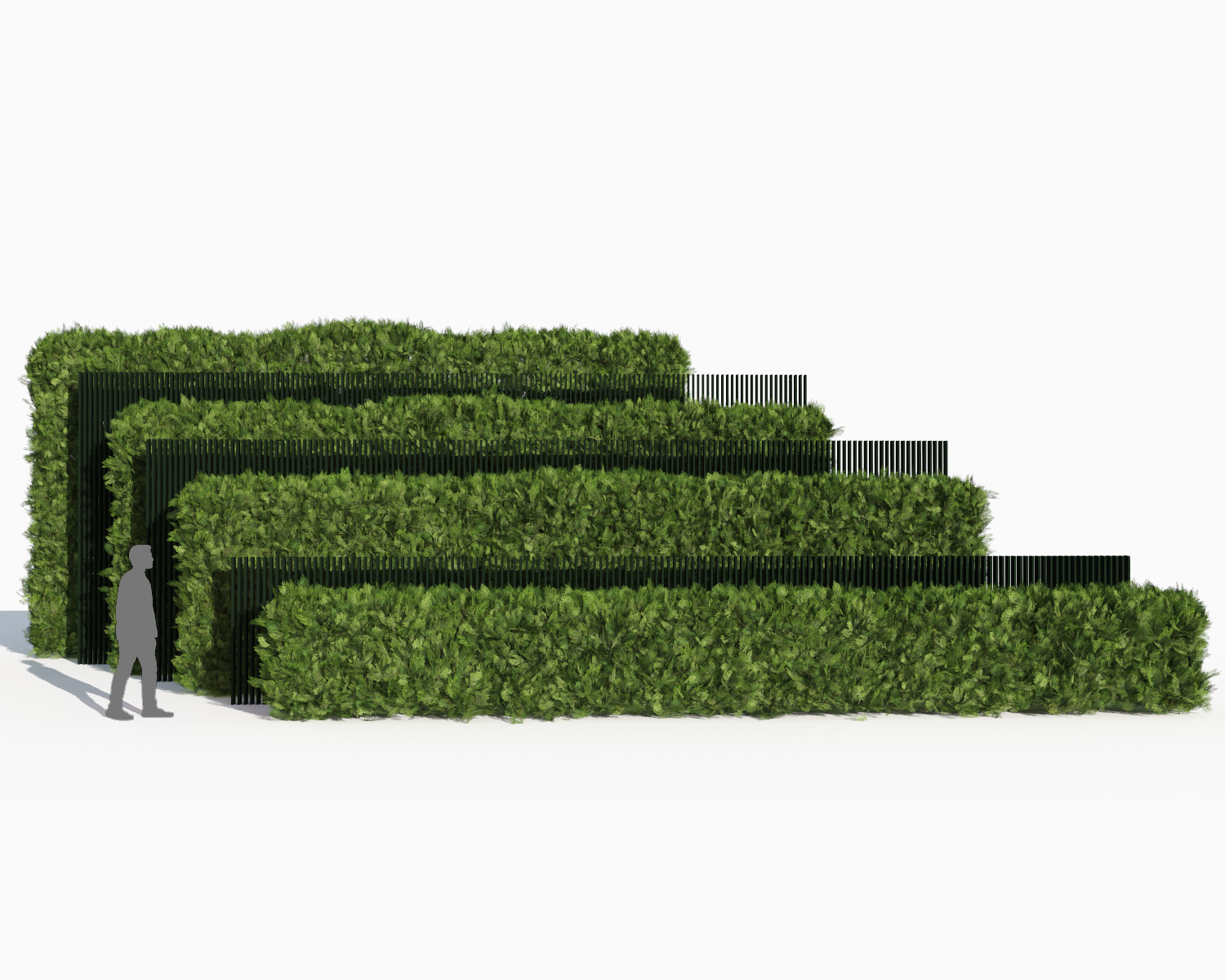 Cedar hedge 3D model - TurboSquid 1177955